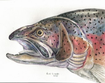 Rainbow Trout Art | Etsy