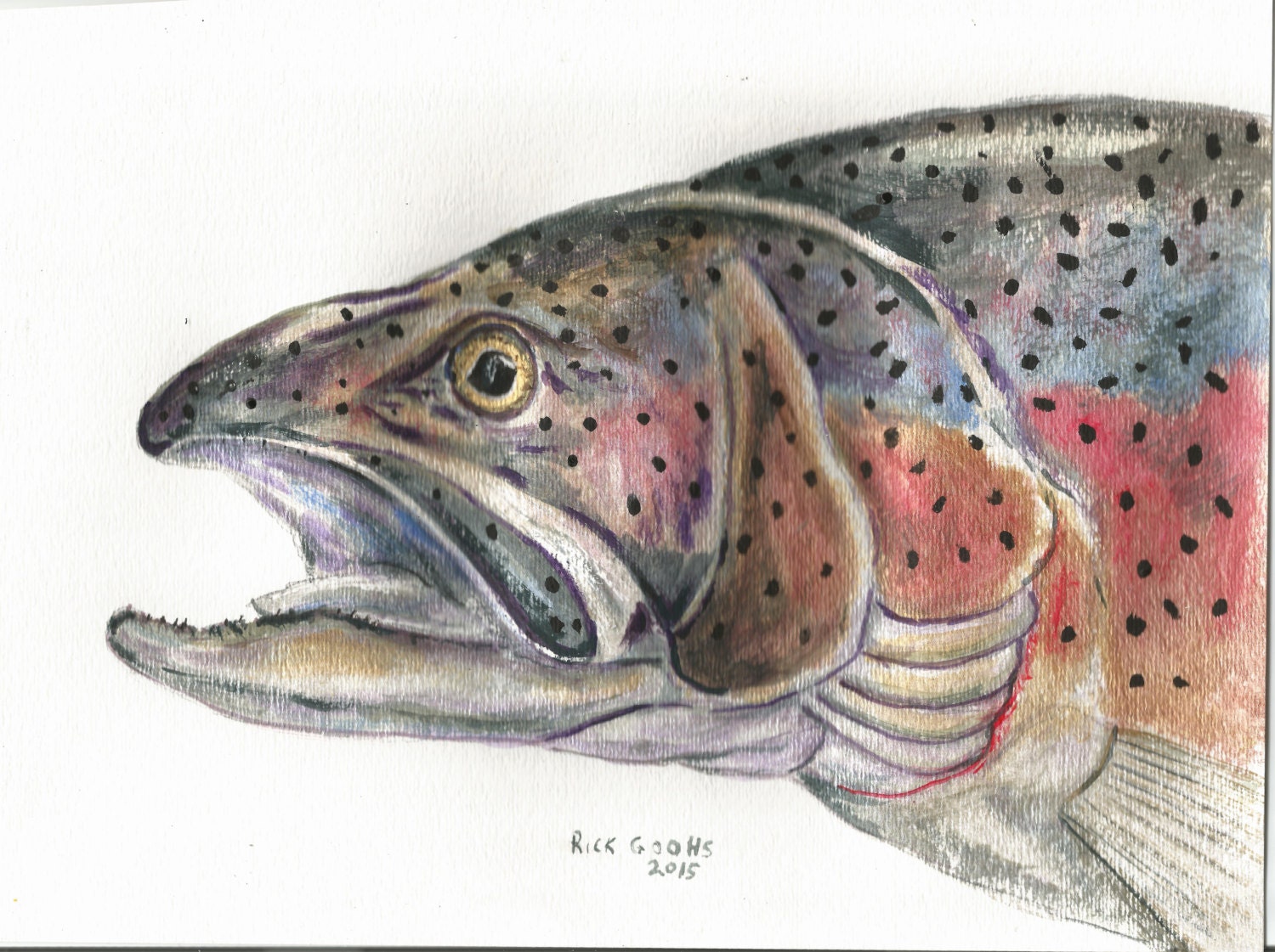 Rainbow Trout Portrait original Art, Trout Painting, Fish Painting ...