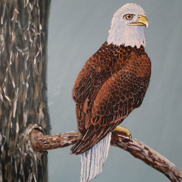 Bald Eagle Paintings - Etsy