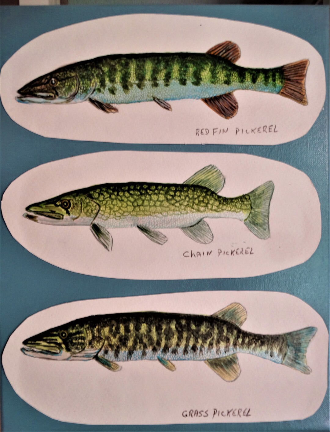 The Three Pickerel (original Mixed Media) Pickerel Art, Fish Wall Art ...