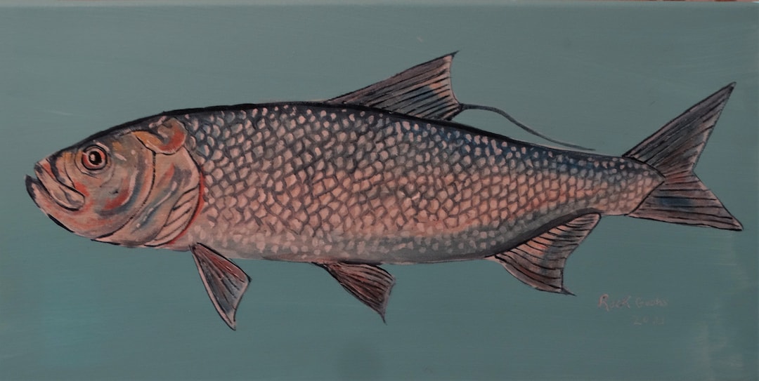 Tarpon Acrylic Painting (original Art Work) Fish Art, Salt Water Fish ...