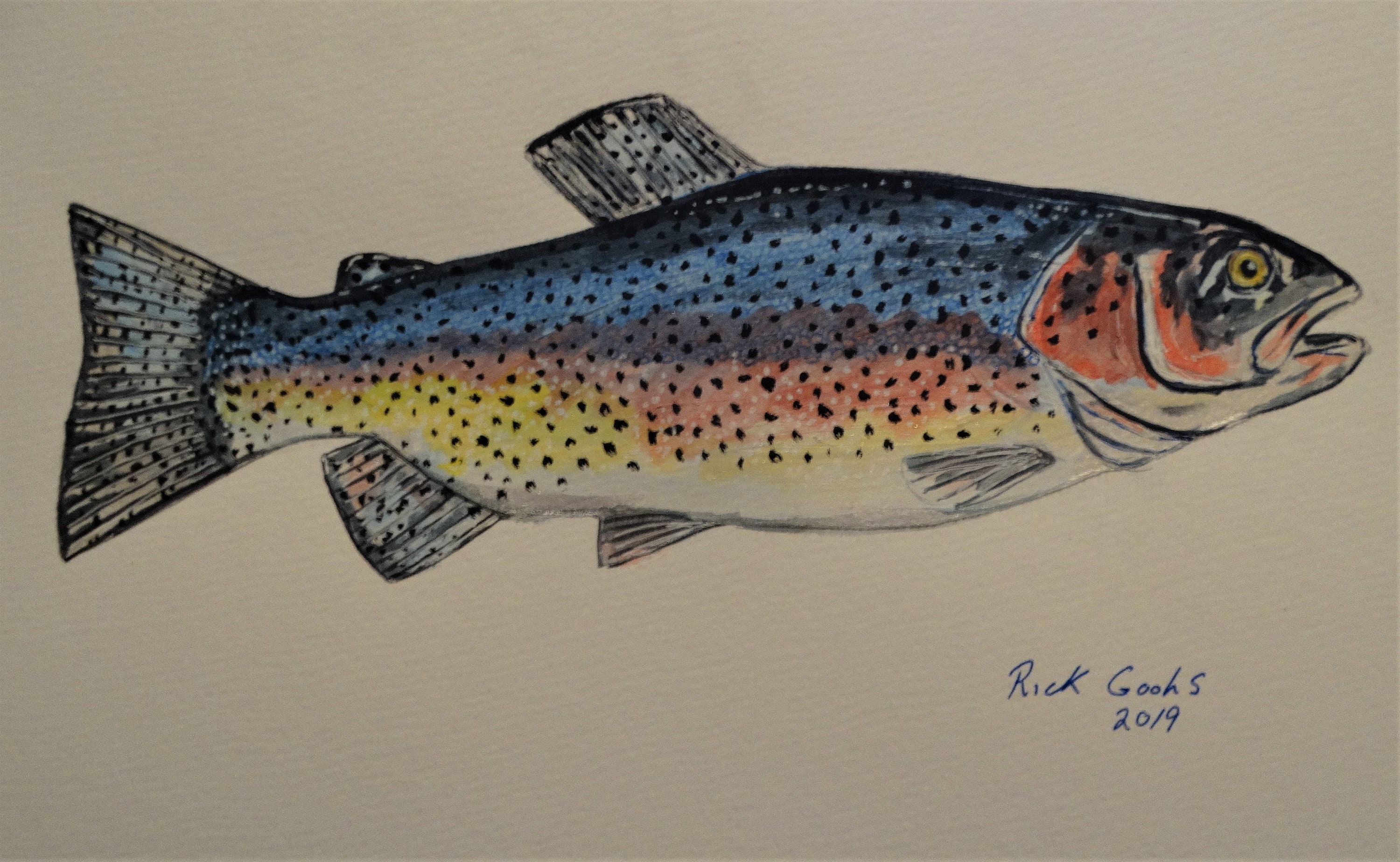 Rainbow Troutoriginal Watercolor Trout Art Fish Painting - Etsy