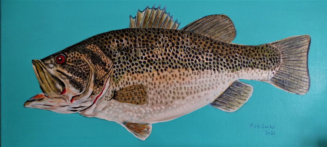 Largemouth Bass On Long Canvas Original Acrylic Painting Bass Wall