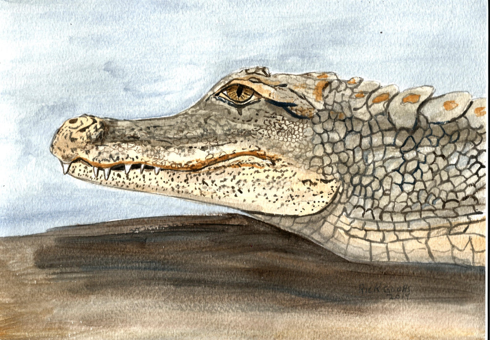 Smiling Gator (original Painting) Watercolor, Alligator Painting ...