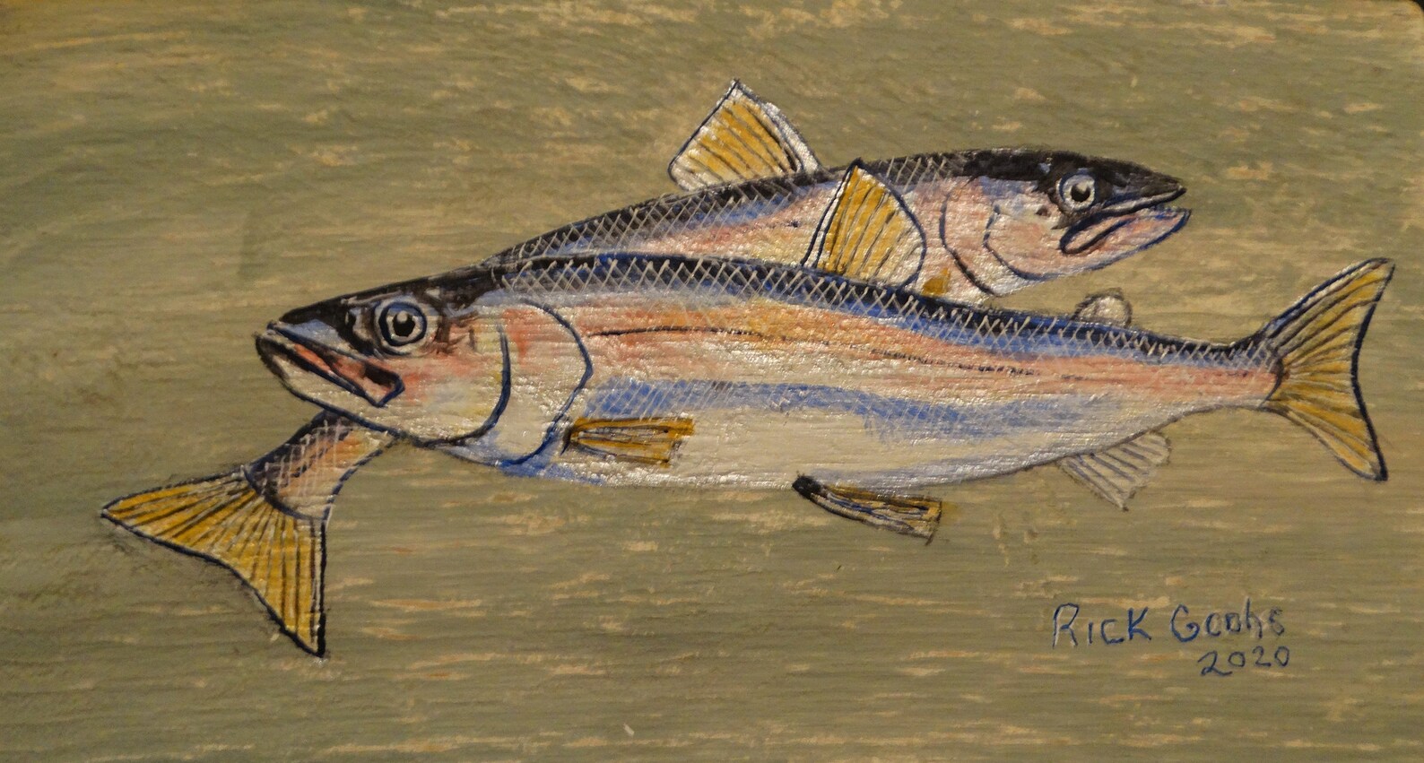 Smelt on Cedar Board (original Acrylic Painting) Fish Wall Art, Fish on ...