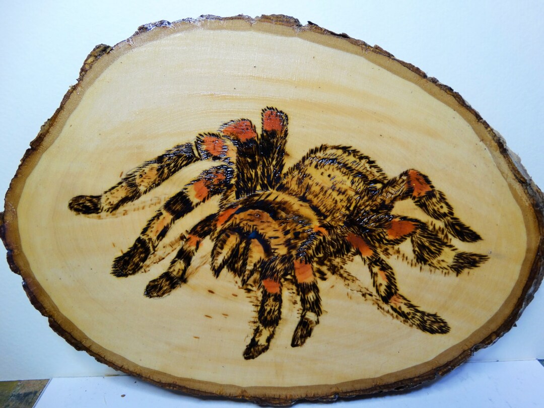 Tarantula original Pyrography Spider Art Taranchula Art - Etsy