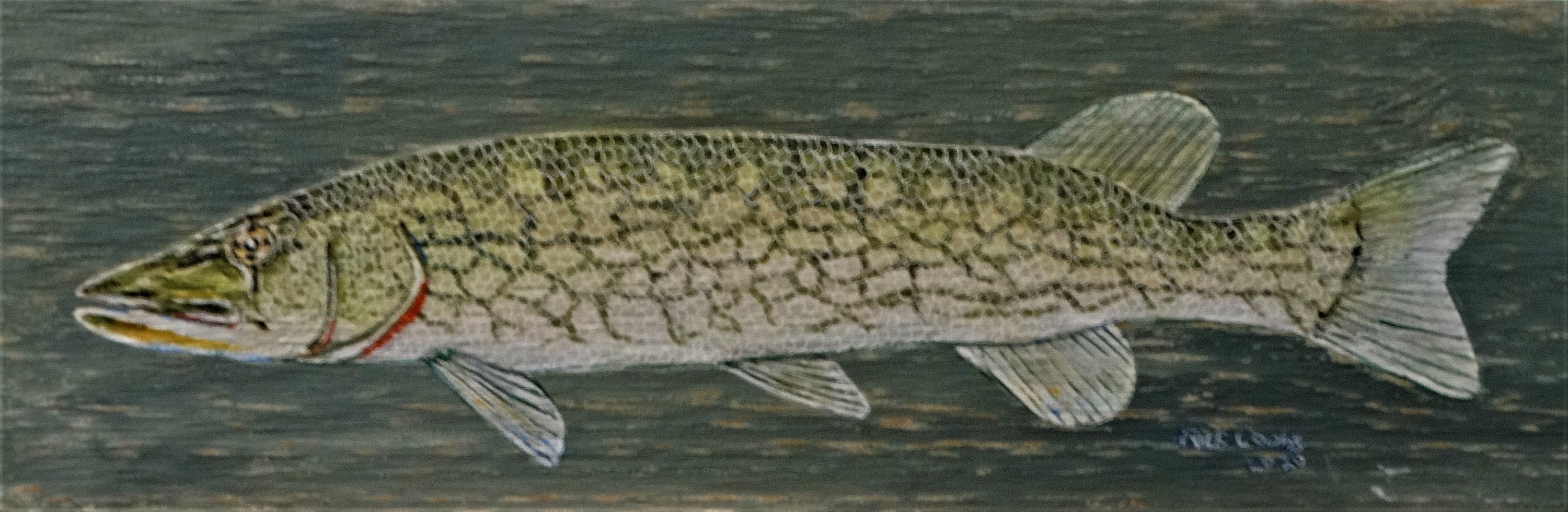 Chain Pickerel on Cedar Board original Acrylic Painting Fish Wall Art ...