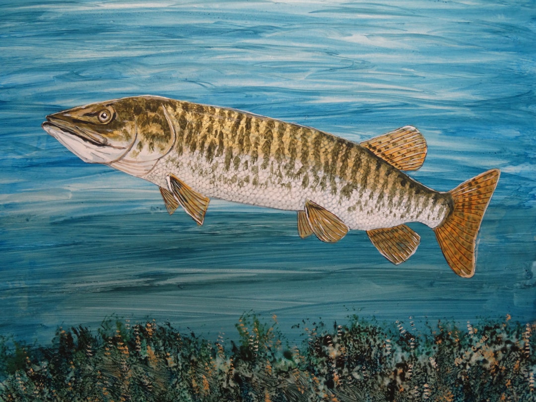 Musky (original Painting), Muskelounge Fish Art, Fish Painting, Acrylic ...