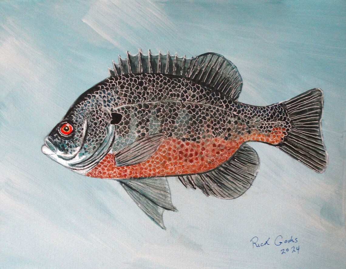 Bluegill in Dark Phase (original Acrylic Painting), Fish Art, Wall Art ...