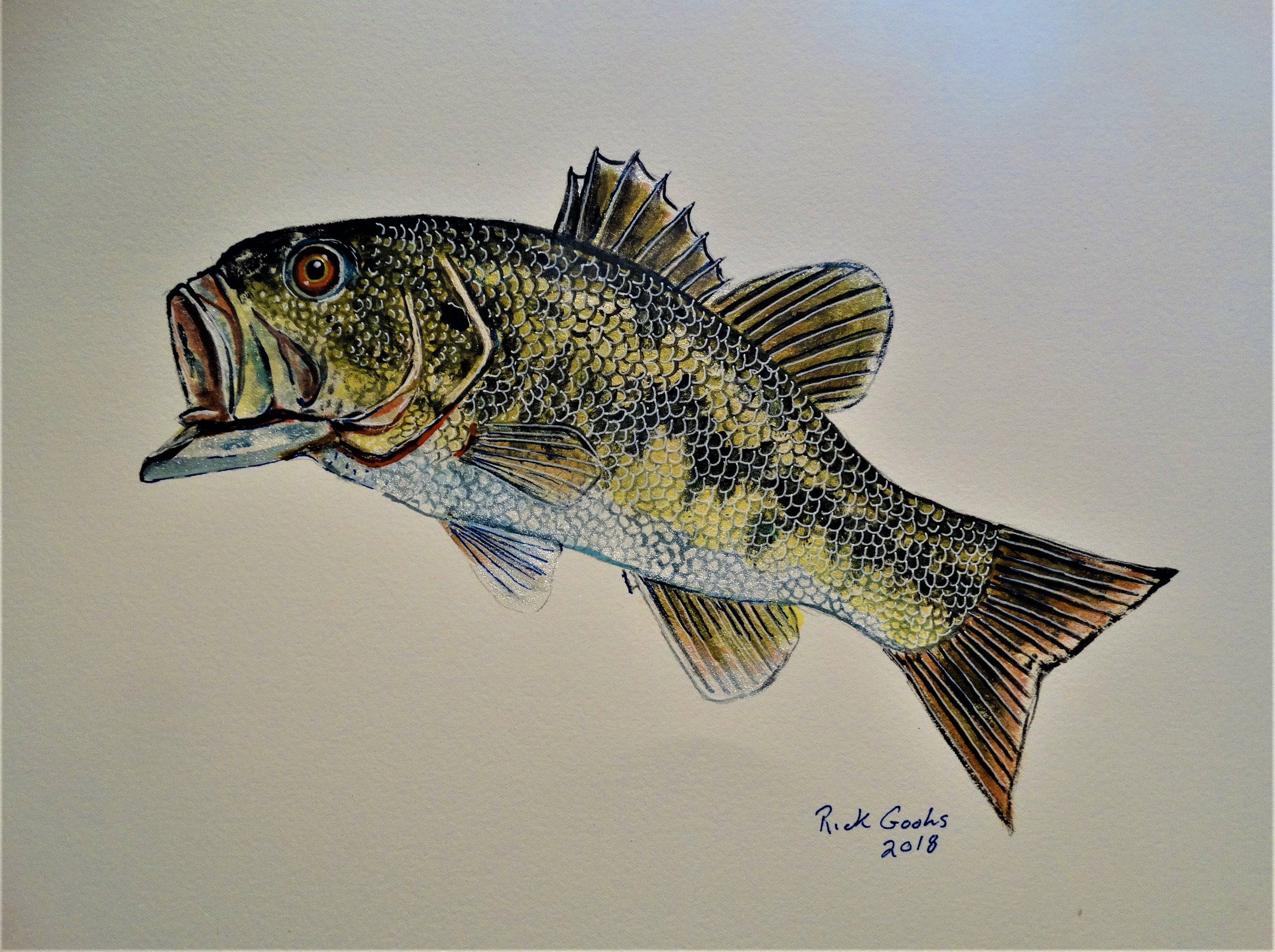 Jumping Largemouth Bass (original Watercolor) Fish Art, Watercolor ...