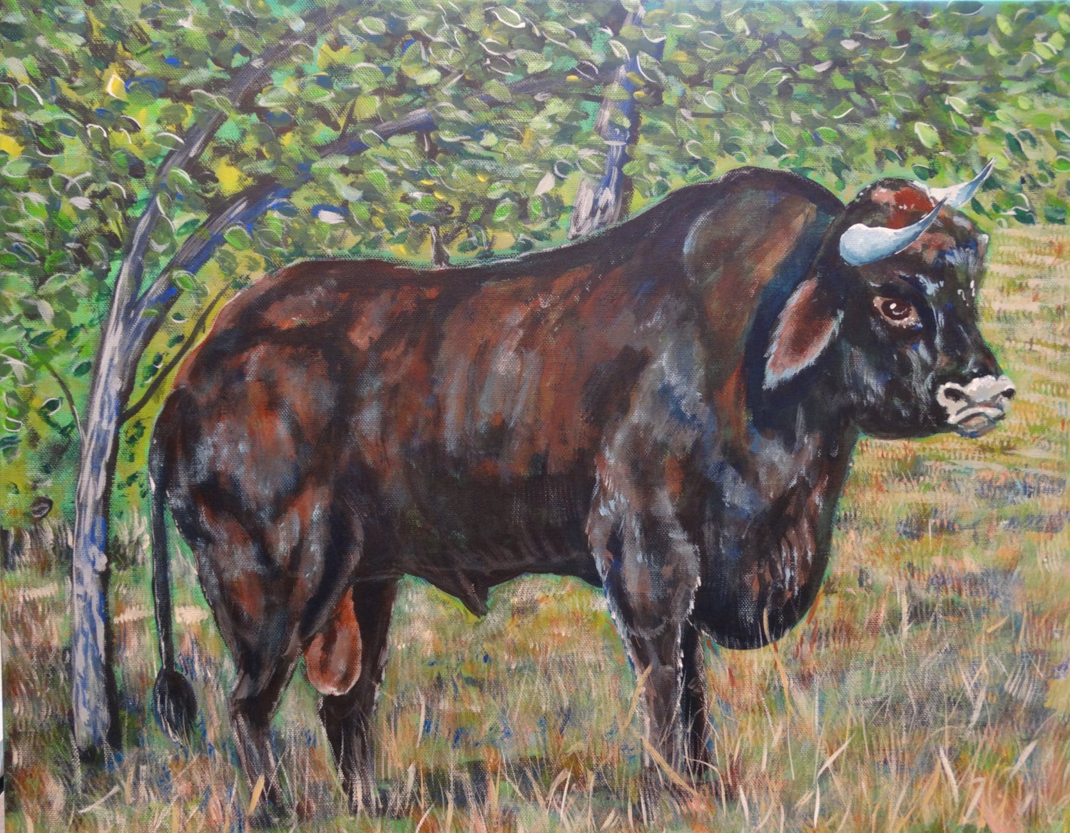 Brangus Bull (original Acrylic Painting) Bovine Art, Cattle Painting ...