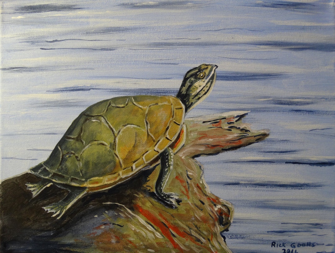 Chicken Turtle on a Log (original Painting), Turtle Art, Turtle ...