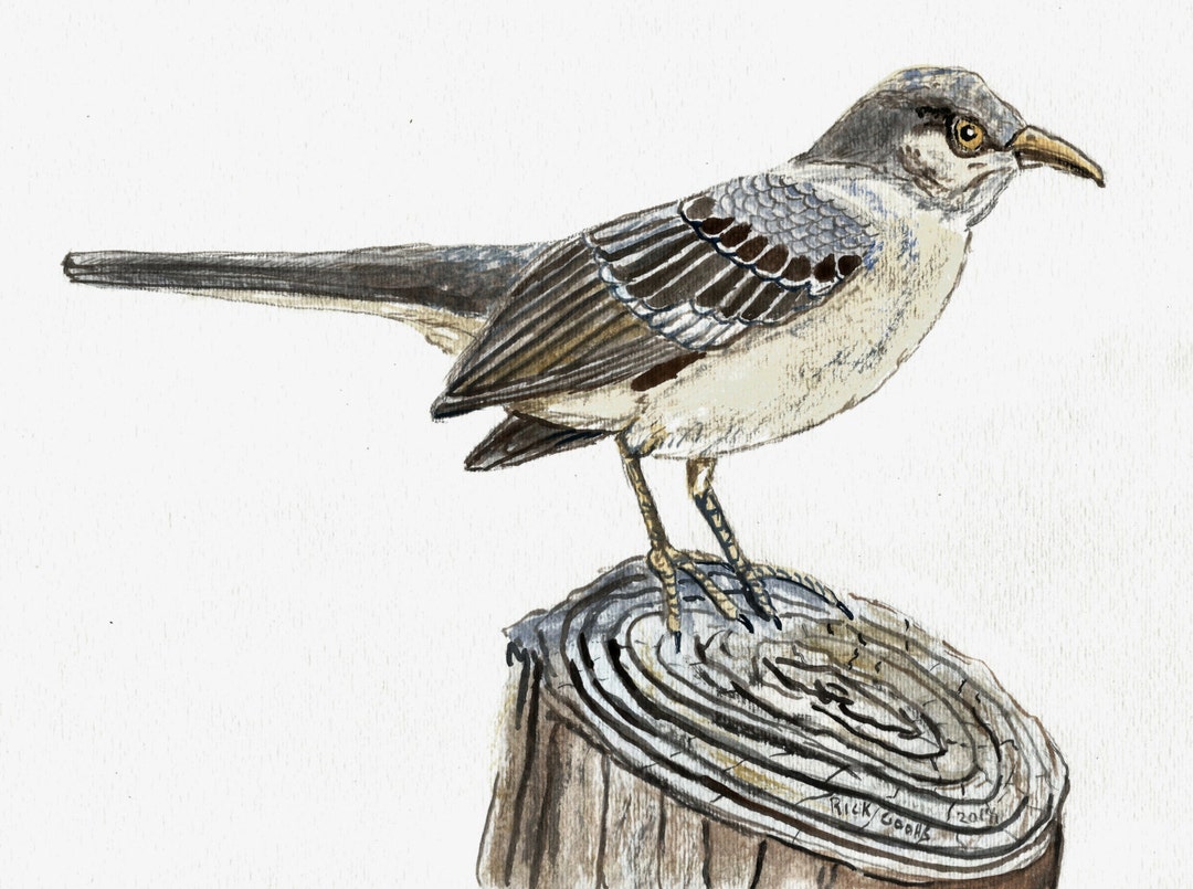 Mocking Bird on a Post (original Art) Bird Art, Watercolor Painting ...