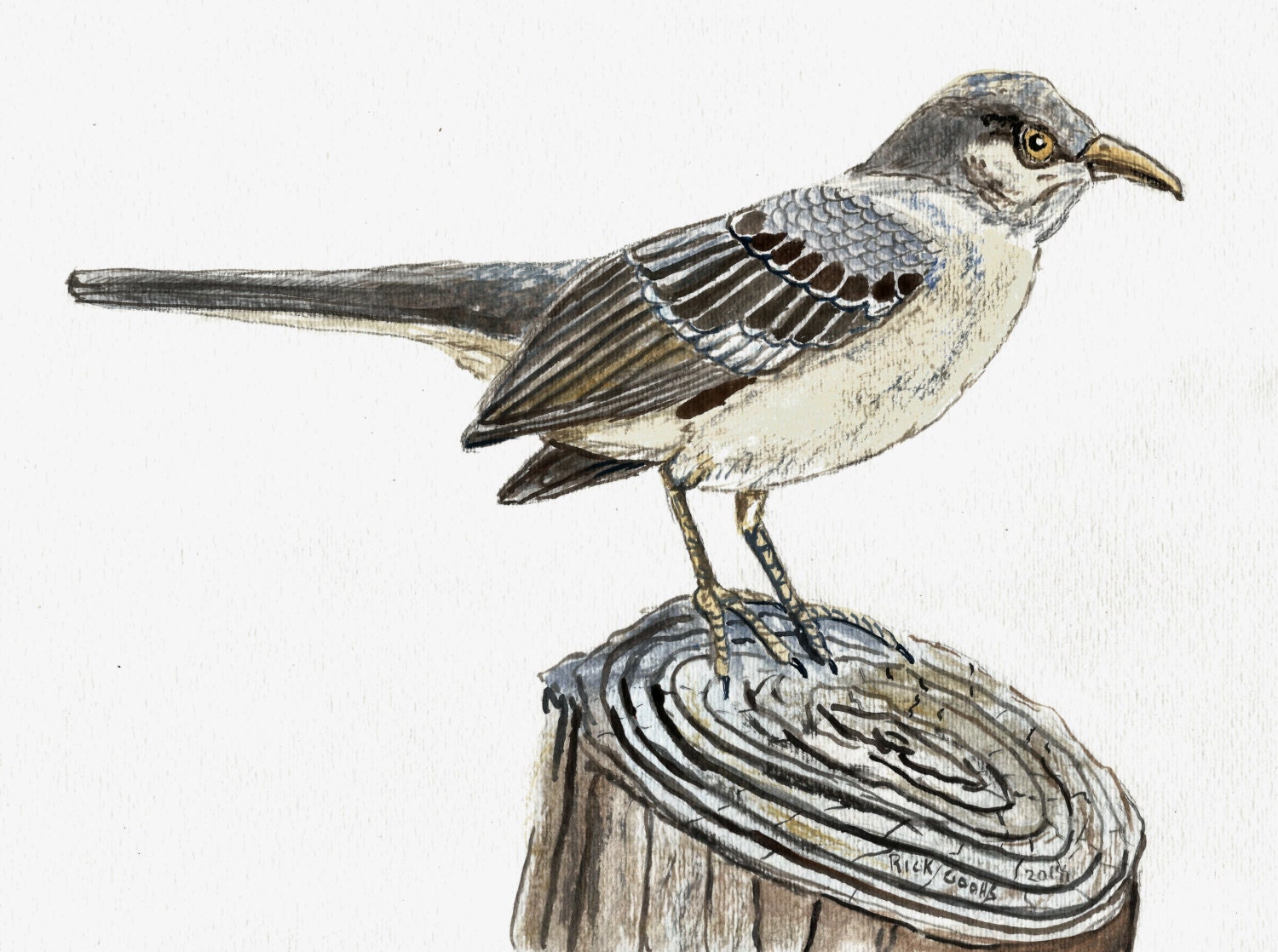 Mocking Bird on a Post (original Art) Bird Art, Watercolor Painting ...