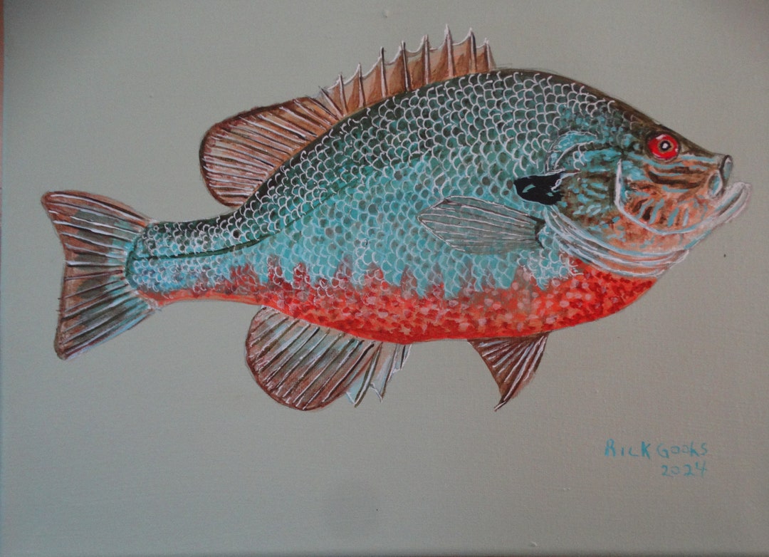 Red Breasted Sunfish, (original Acrylic Painting on Stretched Canvas ...