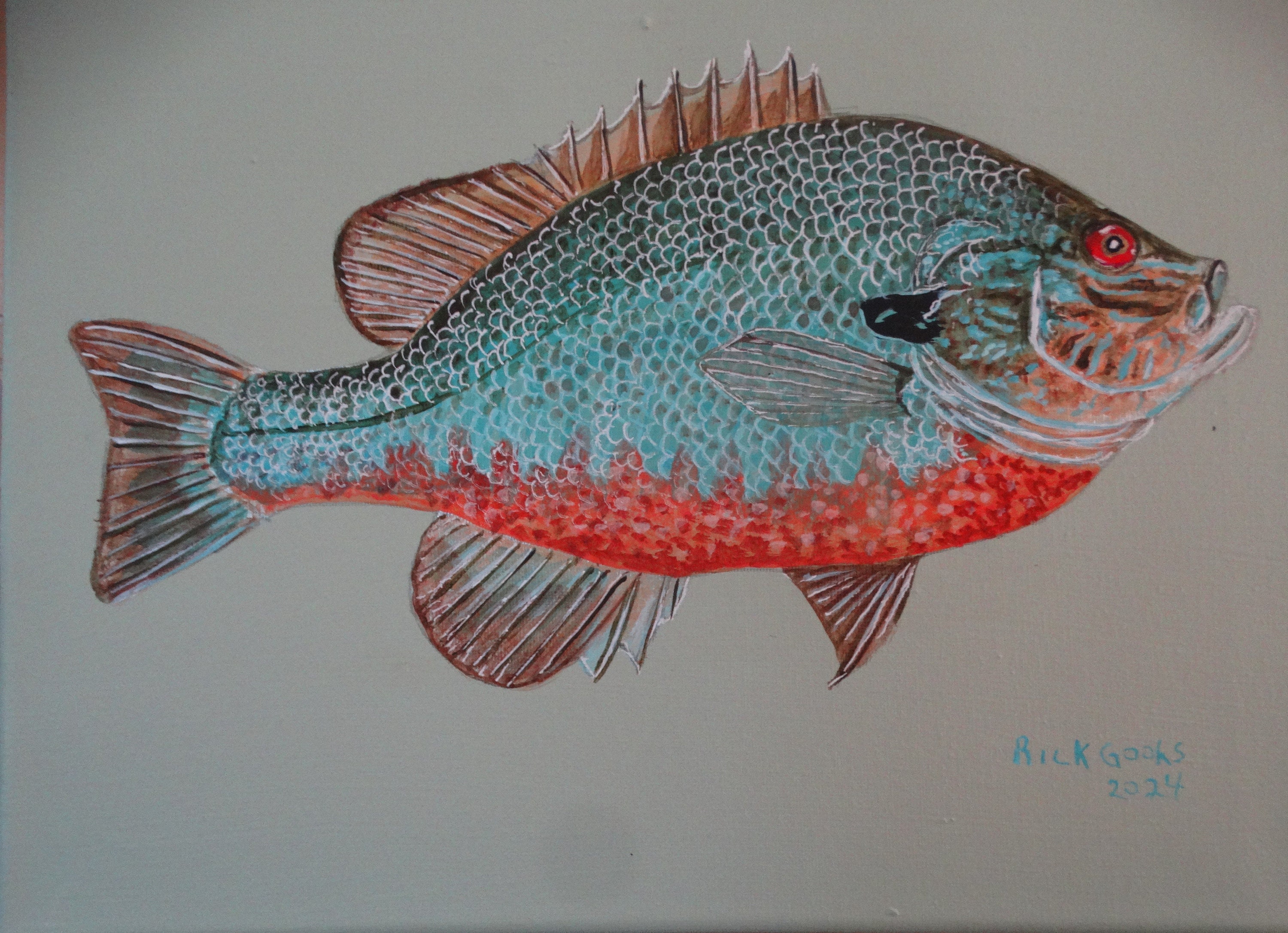 Red Breasted Sunfish, original Acrylic Painting on Stretched Canvas ...