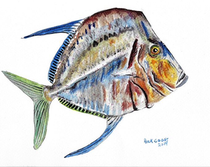 Lookdown Fish (original Watercolor) Fish Art, Lookdown Fish, Saltwater ...