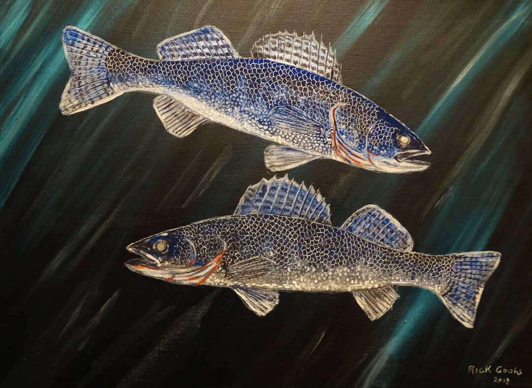 Lake Erie Blue Pike ( Original Painting) Fish Art, Blue Sauger, Extinct ...