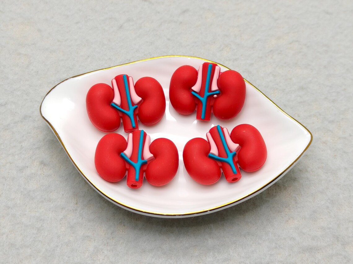 Silicone Bead 3D Internal Organs Kidney Focal Bead DIY Charm Pen ...