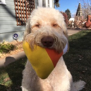 Candy Corn Squeaky Plush Dog Toy - Etsy