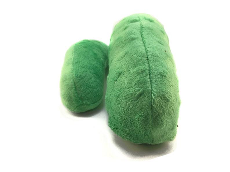 Dillard the Pickle Squeaky Plush Dog Toy | Etsy