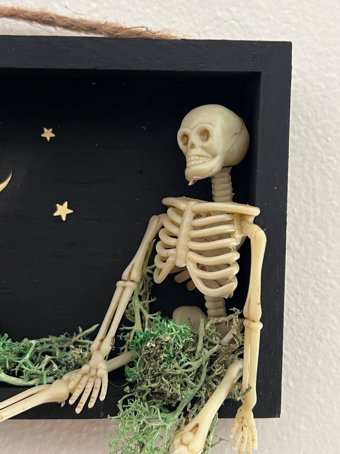 Skeleton With Moss and Mushrooms, Night Sky, Halloween, Skeleton ...