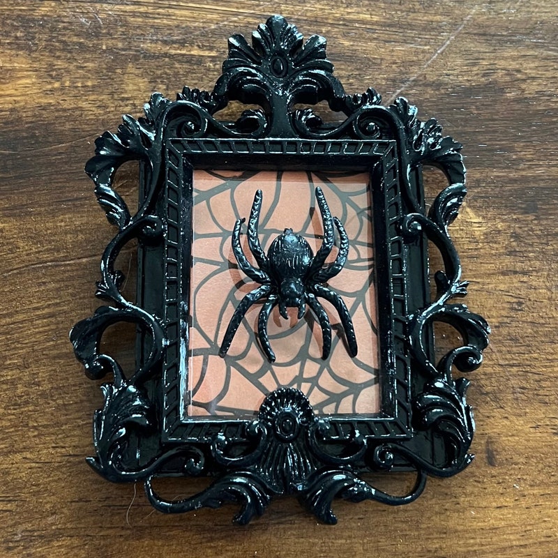 Framed Spider Web - Etsy