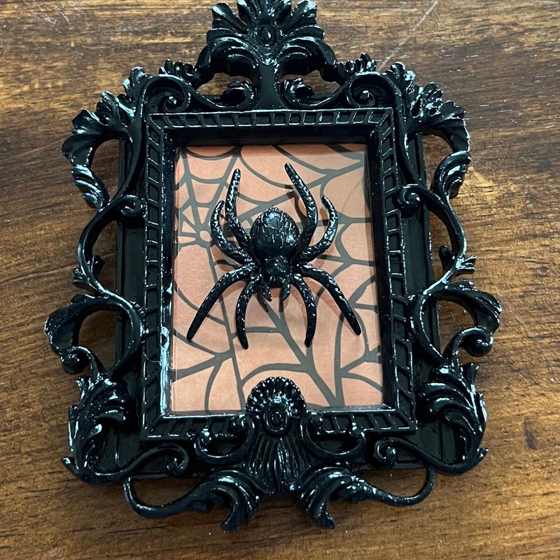 Framed Spider Web - Etsy
