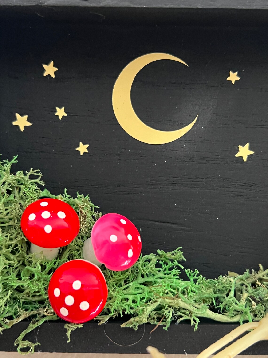 Skeleton With Moss and Mushrooms, Night Sky, Halloween, Skeleton ...