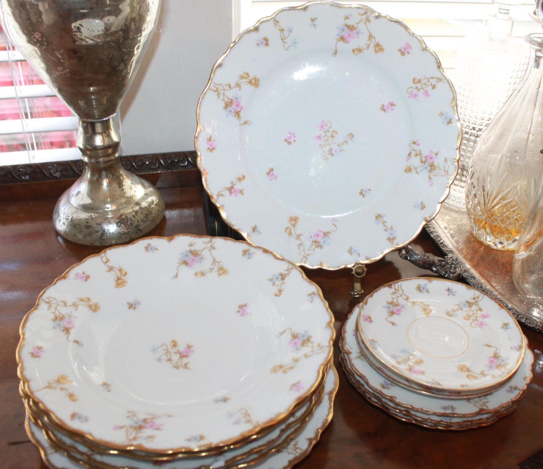 Vintage Limoges Elite Works Plates, Bowls, Saucers - Turn of the ...