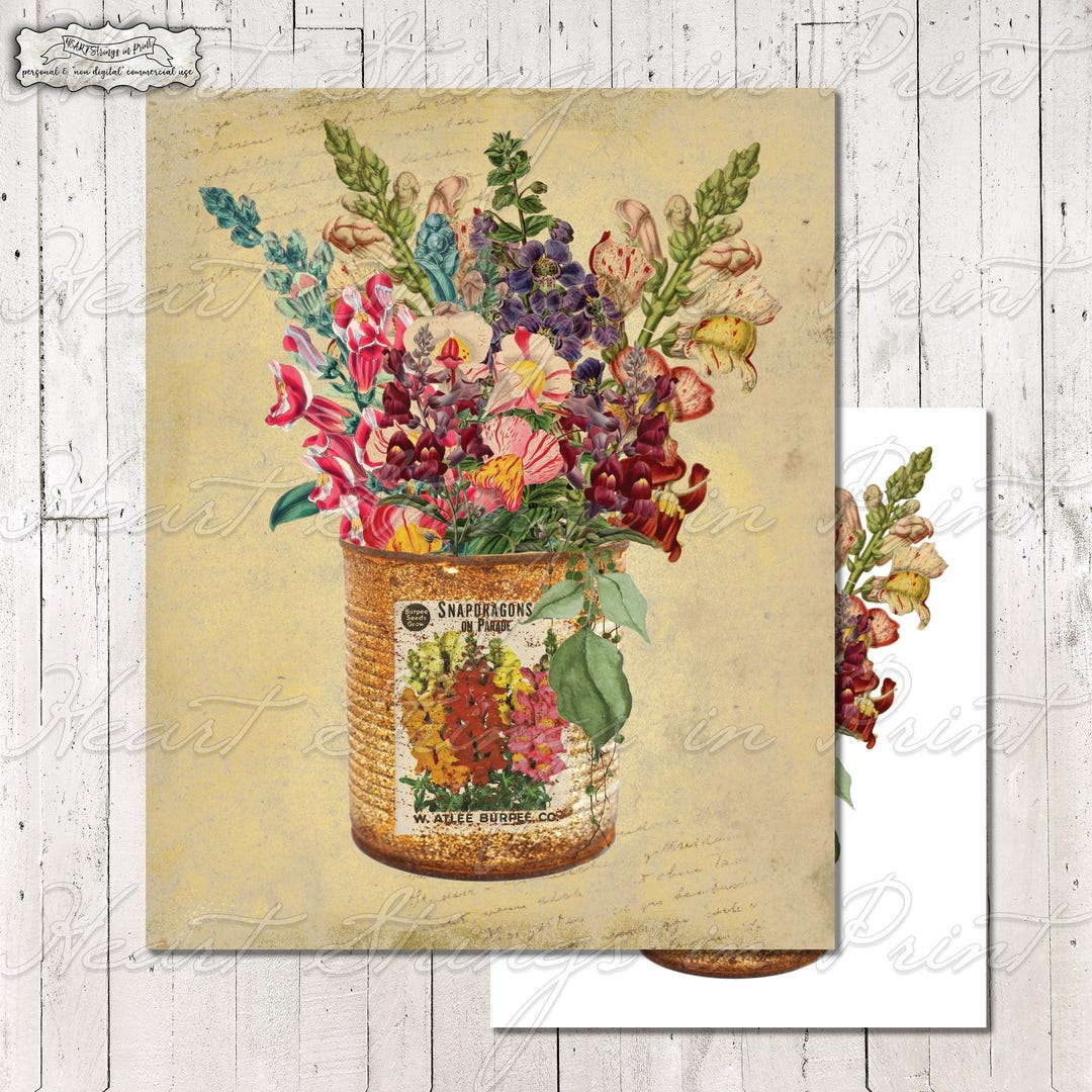 Snapdragons and Rusty Tin, Digital Art, PNG & JPG, Sublimation ...