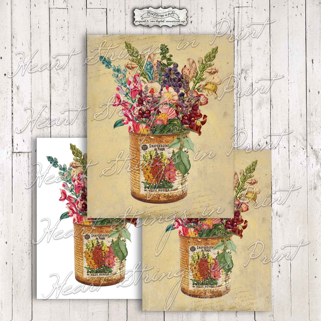 Snapdragons and Rusty Tin Printable, 8x10 Primitive Sign, PNG ...
