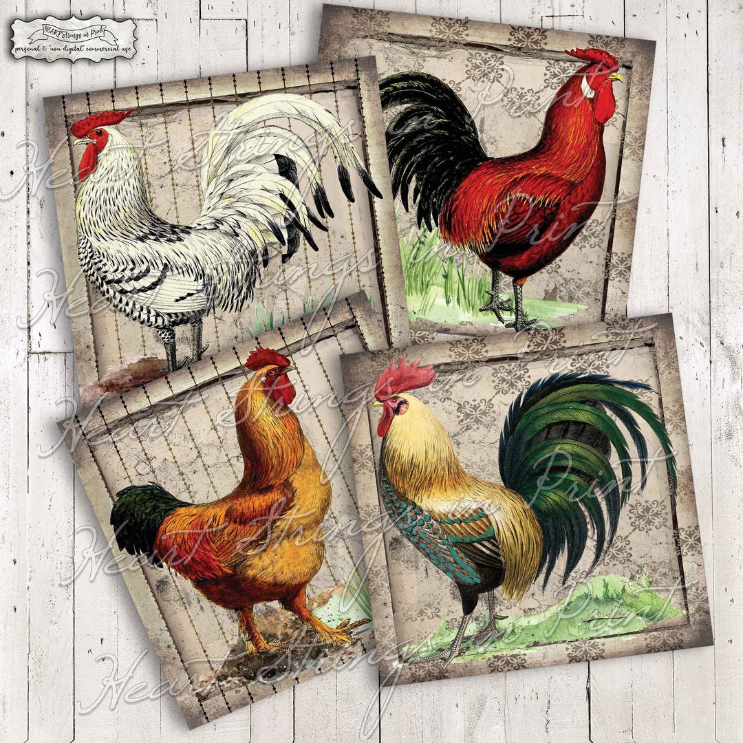 Grungy Roosters Printable, Coaster Designs, 4x4 Collage Sheet, Ephemera ...