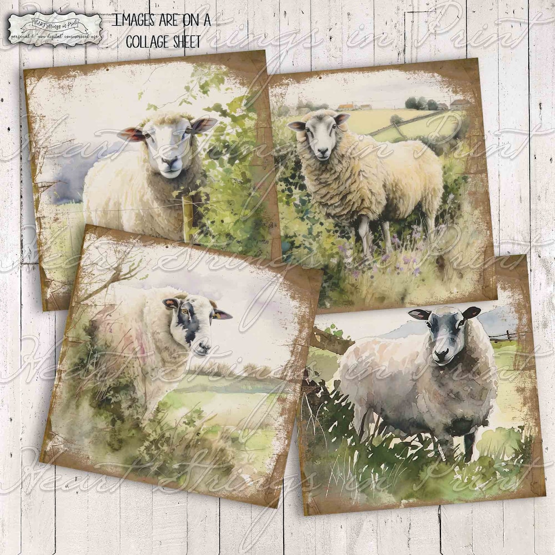 Farm Sheep, Printable, Coaster Designs, 4x4 Image Collage Sheet ...