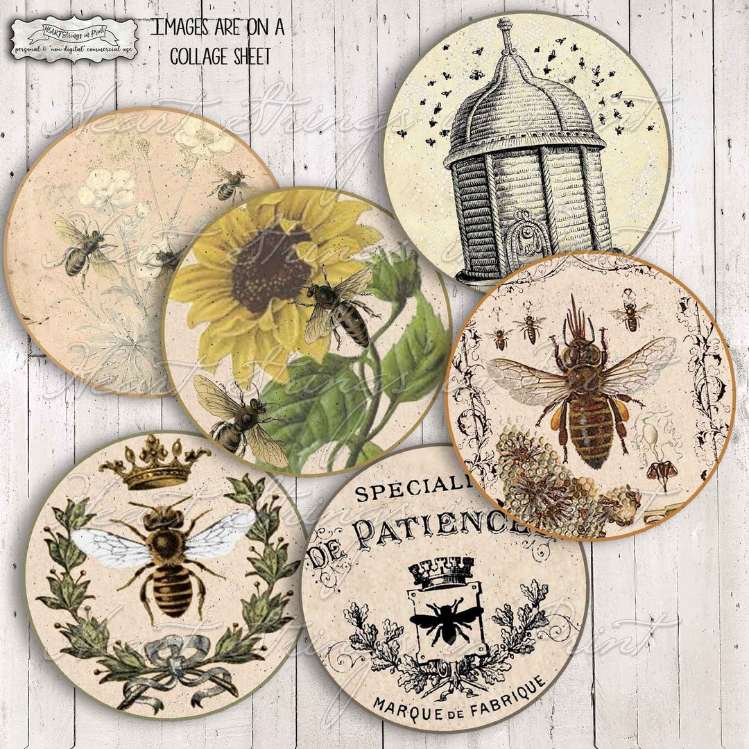 Vintage Bee Circle Printable, Collage, Pngs, Digital Download #2279 - Etsy