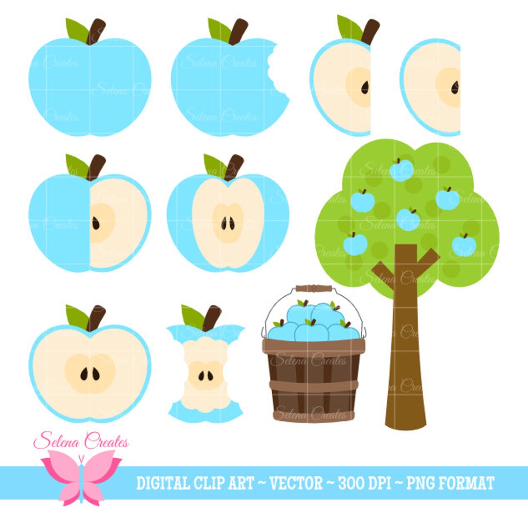 Aqua Apple Clipart Set Digital Clipart Apple Basket Apple - Etsy