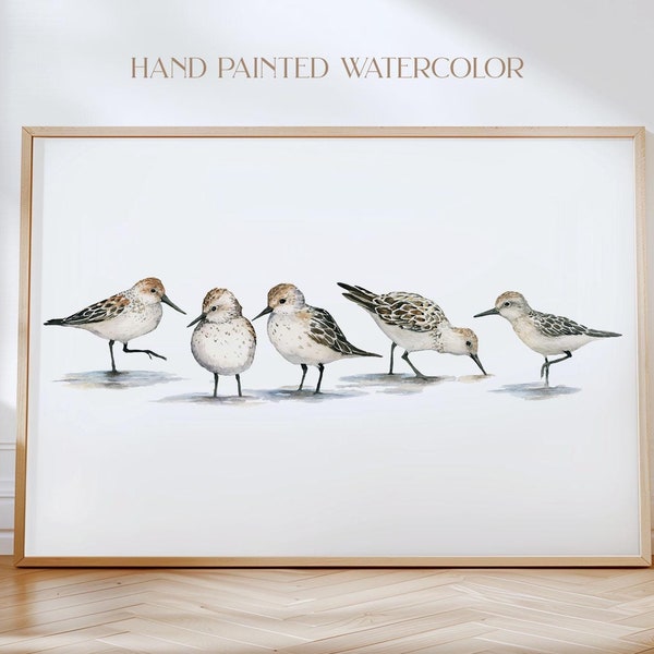 Sandpiper Wall Art - Etsy