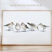 Sandpiper Wall Art Coastal Wall Art Shore Bird Watercolor Sandpiper ...