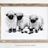 Rustic Sheep Art Prints - Digital Download Set of 2 - PRINTABLE Farm ...