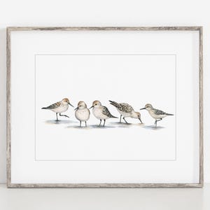 Coastal Wall Art Sandpiper Art Coastal Beach Art Beach House Decor ...
