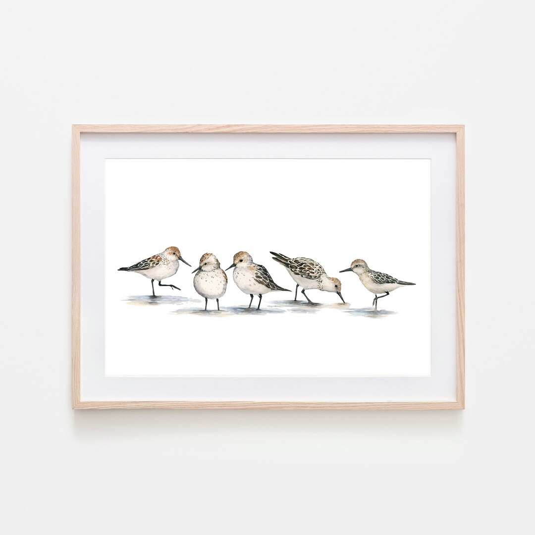 Coastal Wall Art Sandpiper Art Coastal Beach Art Beach House Decor ...