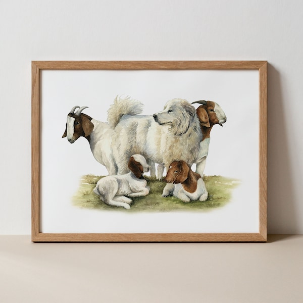 Boer Goat - Etsy