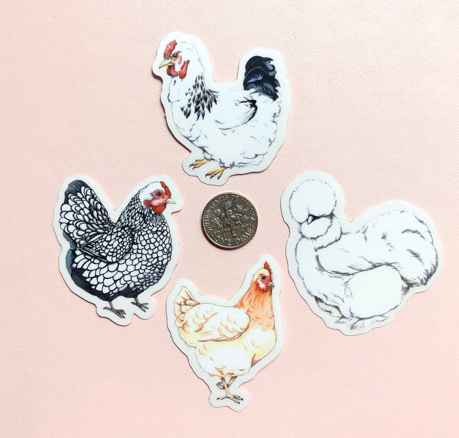 Chicken sticker chicken chicken stationary outdoor | Etsy