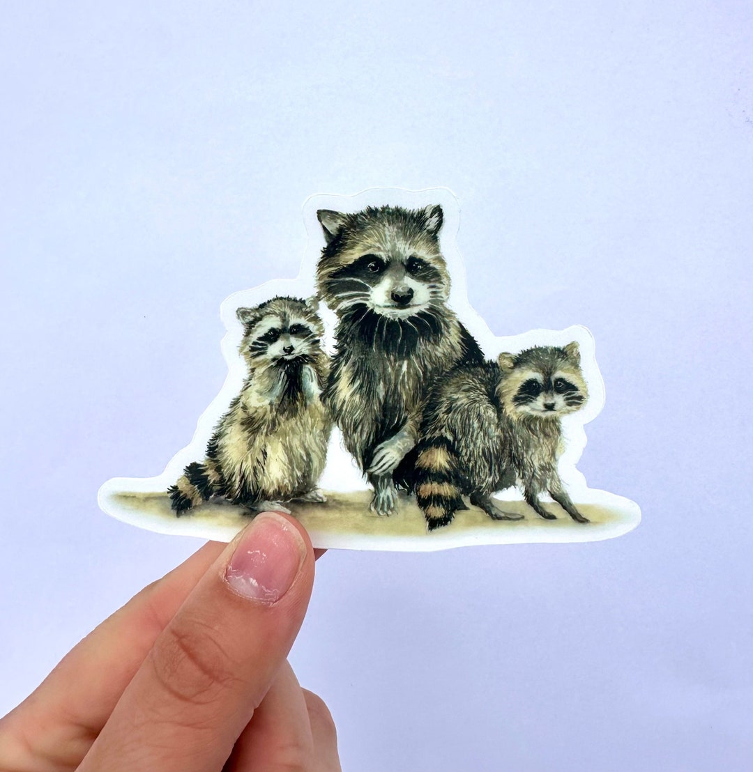 Raccoon Sticker Watercolor Raccoon Decal Baby Raccoon Gift Clear ...