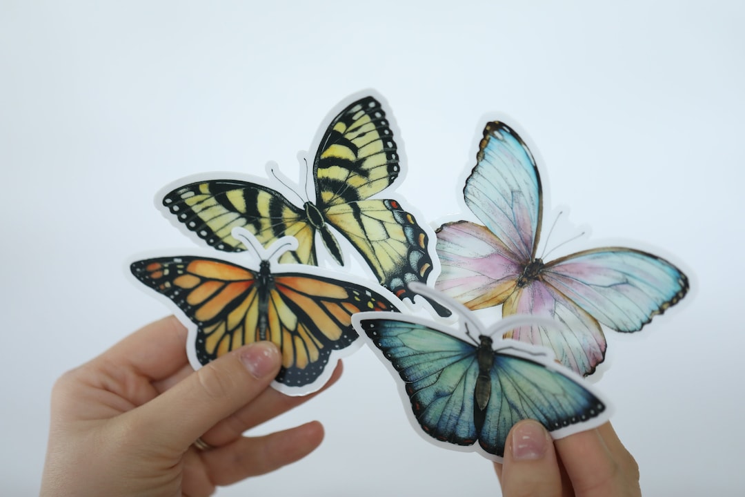 Butterfly Sticker Pack Butterfly Vinyl Die Cut Sticker Set Butterfly ...
