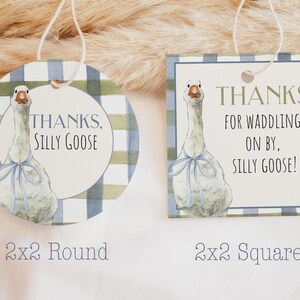 Silly Goose Theme 1st Birthday Party Decor Boy One Silly Goose Party ...