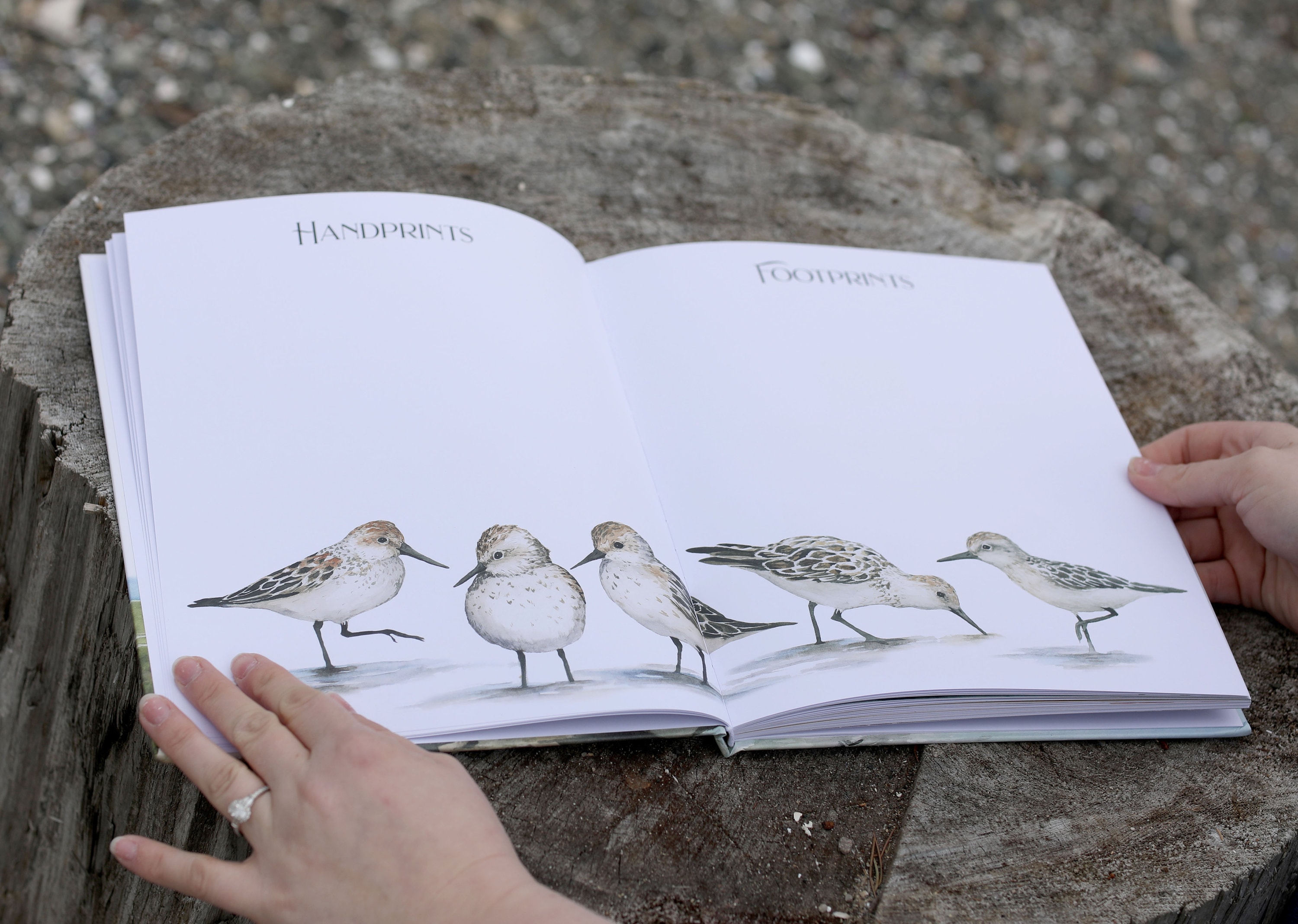 Ocean Themed Baby Memory Book Nautical Baby Album Baby's - Etsy