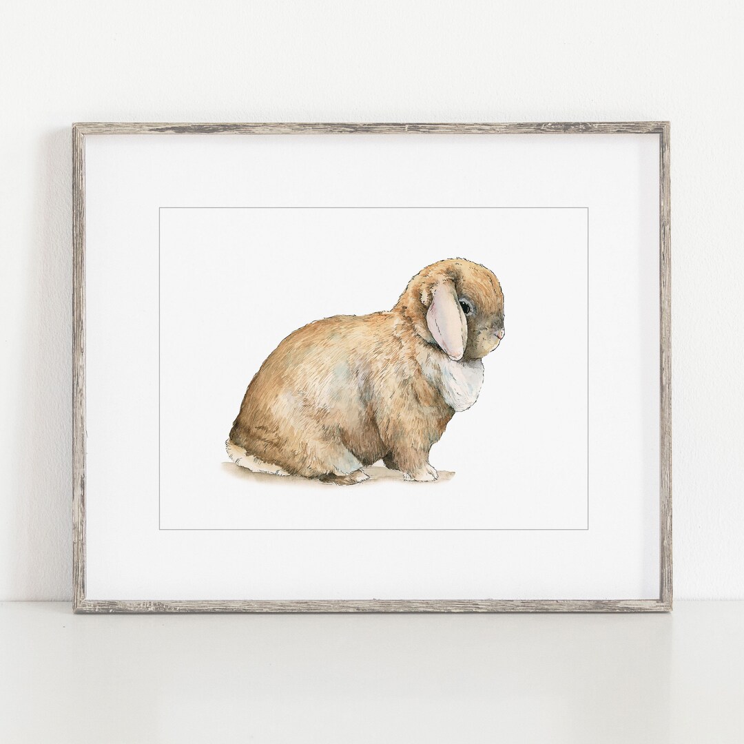 Holland Lop Rabbit Watercolor Art Print Mini Lop Bunny Wall Hanging ...
