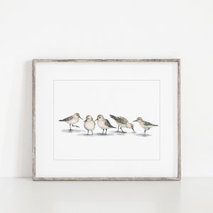 Coastal Wall Art Sandpiper Art Coastal Beach Art Beach House Decor ...