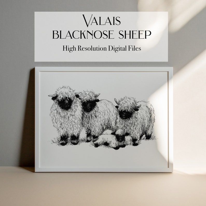 Valais Blacknose Sheep Download Vintage Farmhouse Decor Sheep Art Print ...